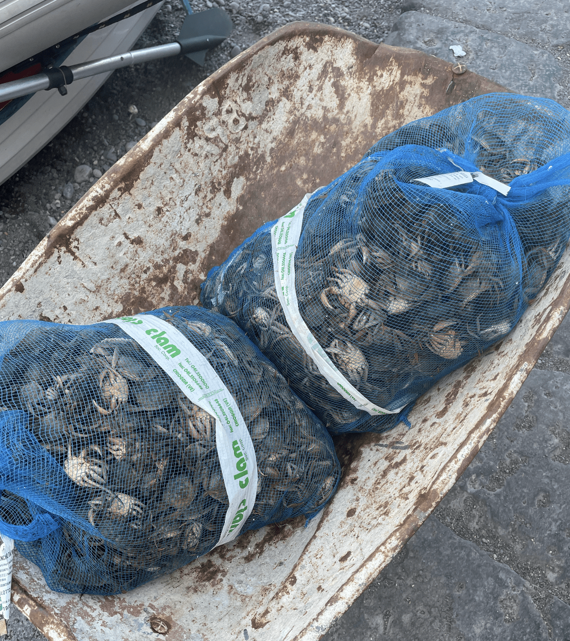 SUNBRELLAS – timewalls®